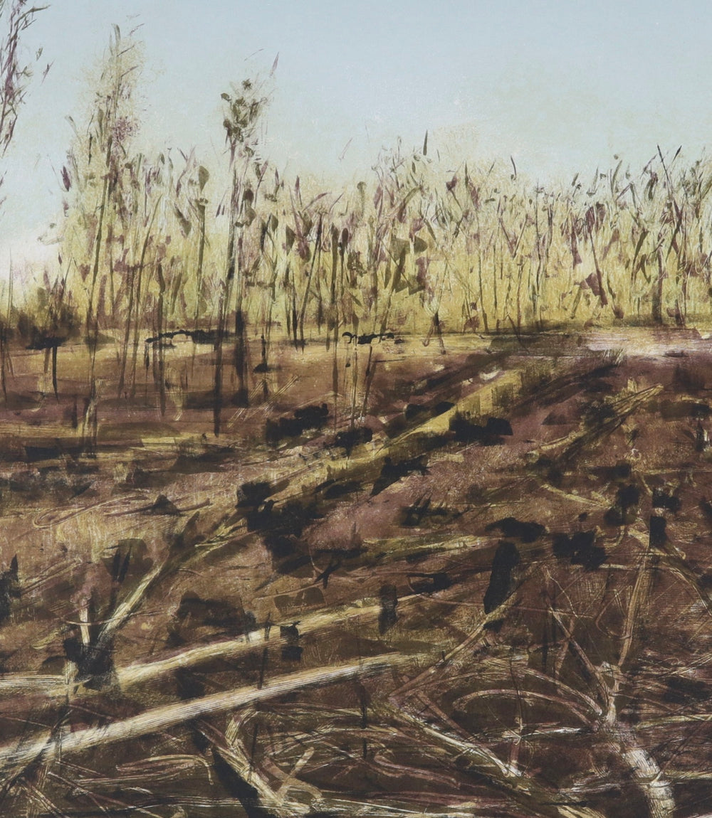 The Artists' Press Online Shop