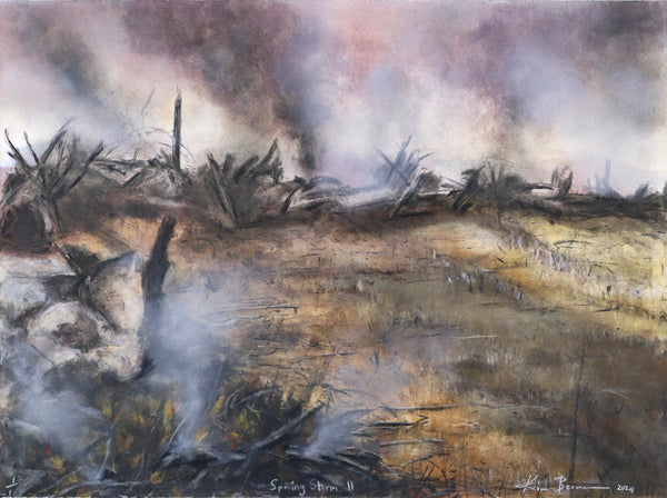 Spring Storm II – The Artists' Press