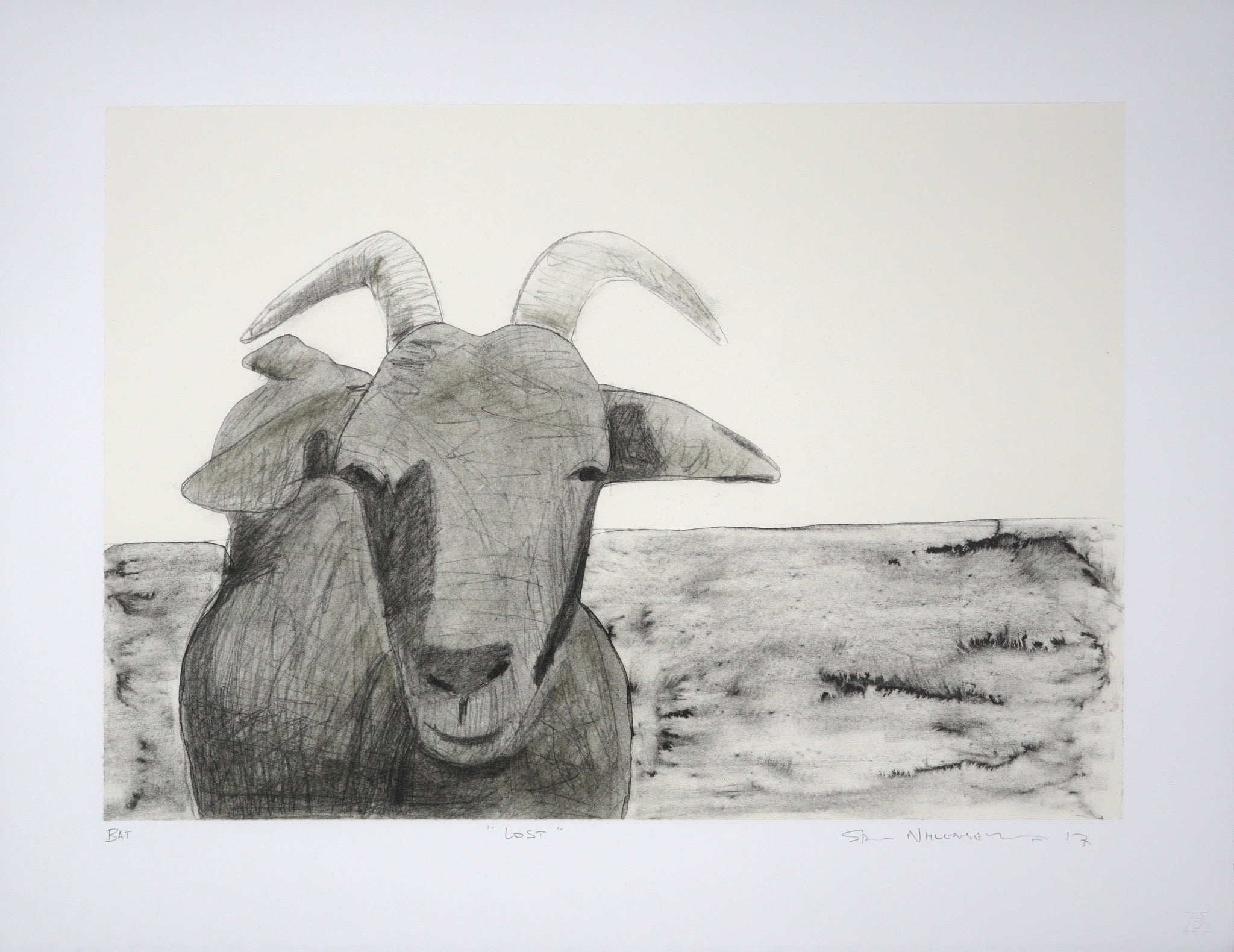 Lost – The Artists' Press